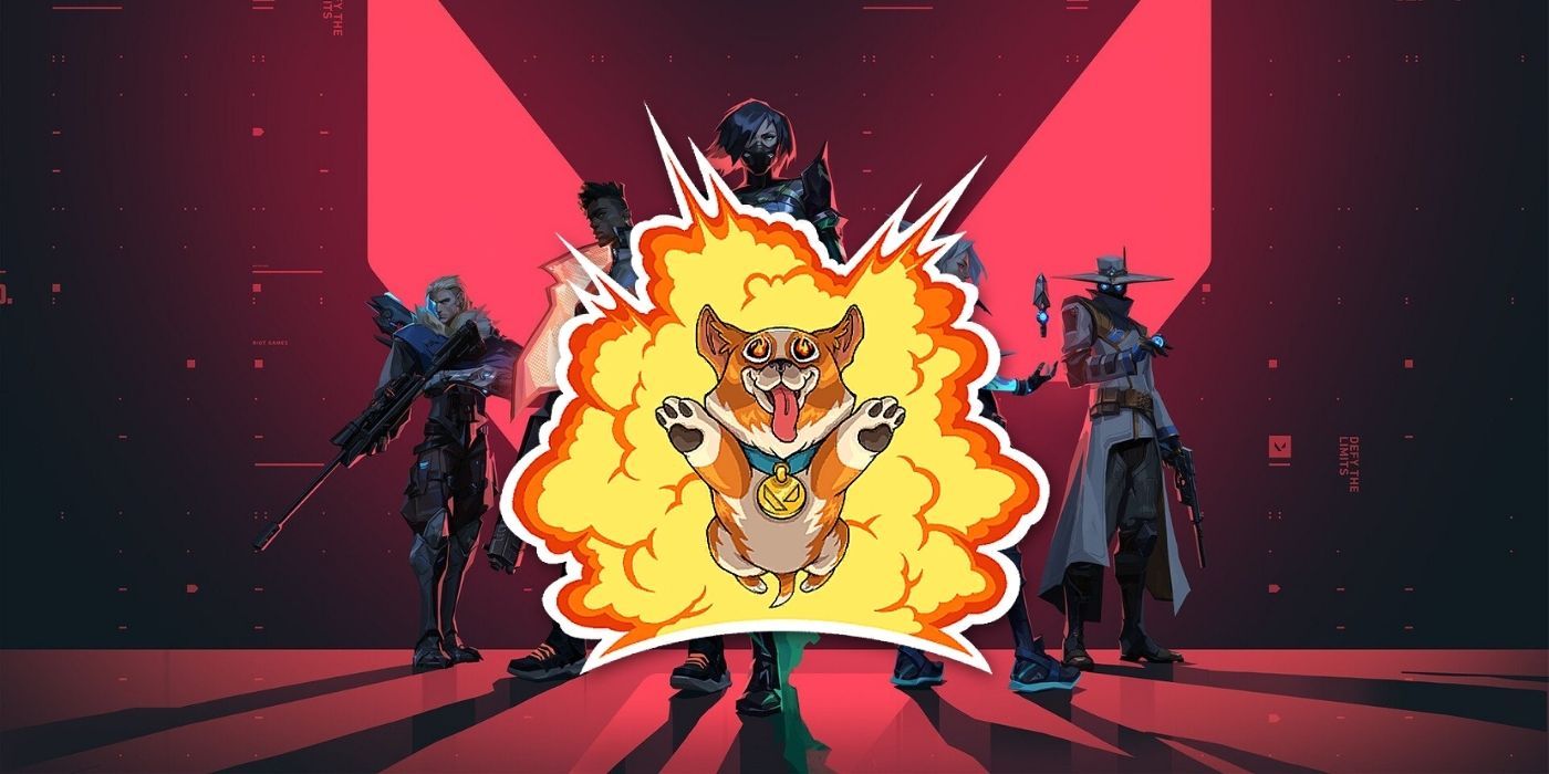 Valorant Gun Buddy Has Touching Backstory | Game Rant