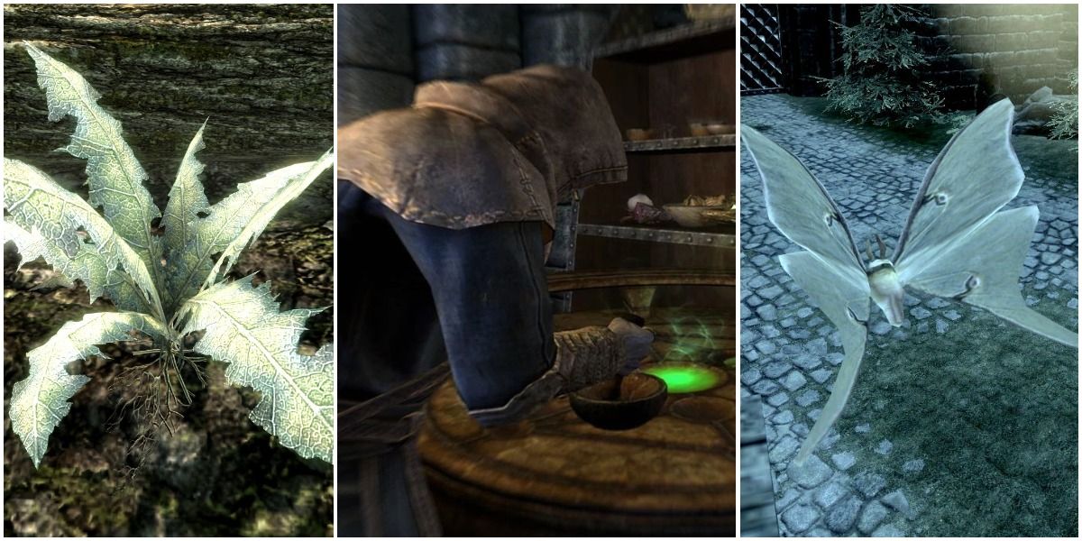 Skyrim: How To Make An Invisibility Potion | Game Rant Skyrim: How To Make An Invisibility Potion | Game Rant